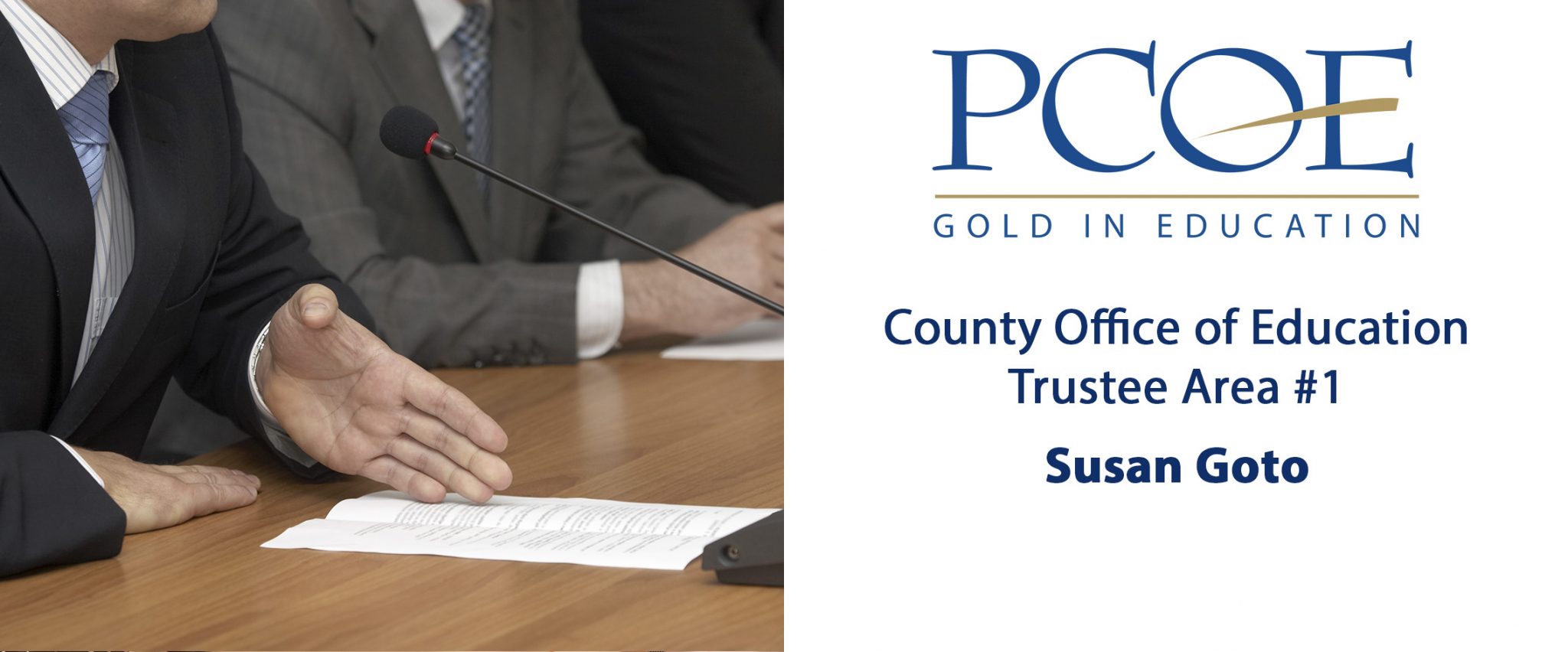 Placer Election Guide